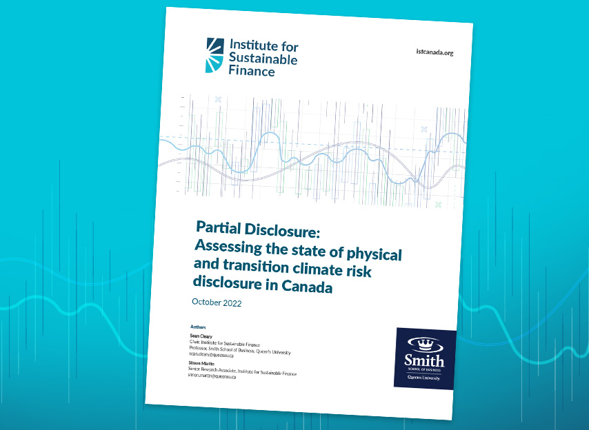 Partial Disclosure: Assessing the state of physical and transition climate risk disclosure in ...